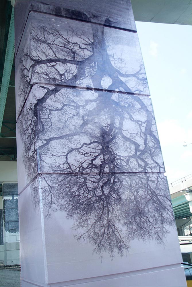 Textured Surface Graphic Films Gallery