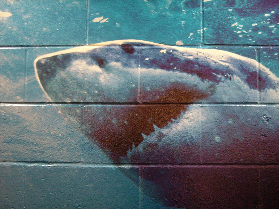 Textured Surface Graphic Films Gallery